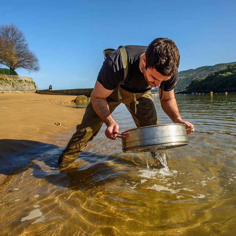 AMBI – AZTI´s Marine Biotic Index